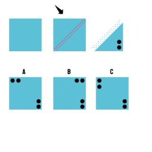CAT4 Practice Test and Sample Questions | Free Access