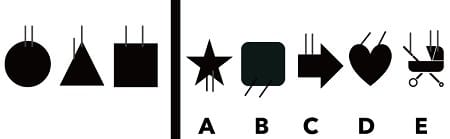 CAT4 Level X (Year 2) Guide & Free Sample Questions PDF