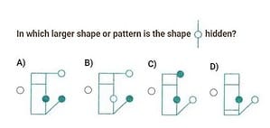 CAT4 Level X (Year 2) Study Guide & Free Sample Questions PDF