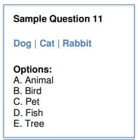CAT4 Verbal Reasoning [Free Sample Questions]