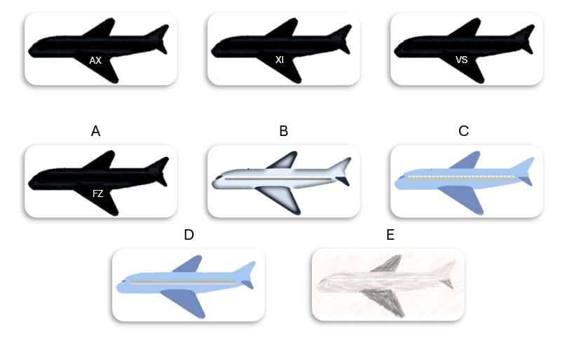 CAT4 Level X (Year 2) Guide & Free Sample Questions PDF